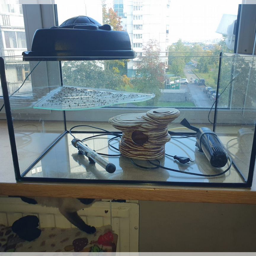 Аквариум 100л с оборудованием