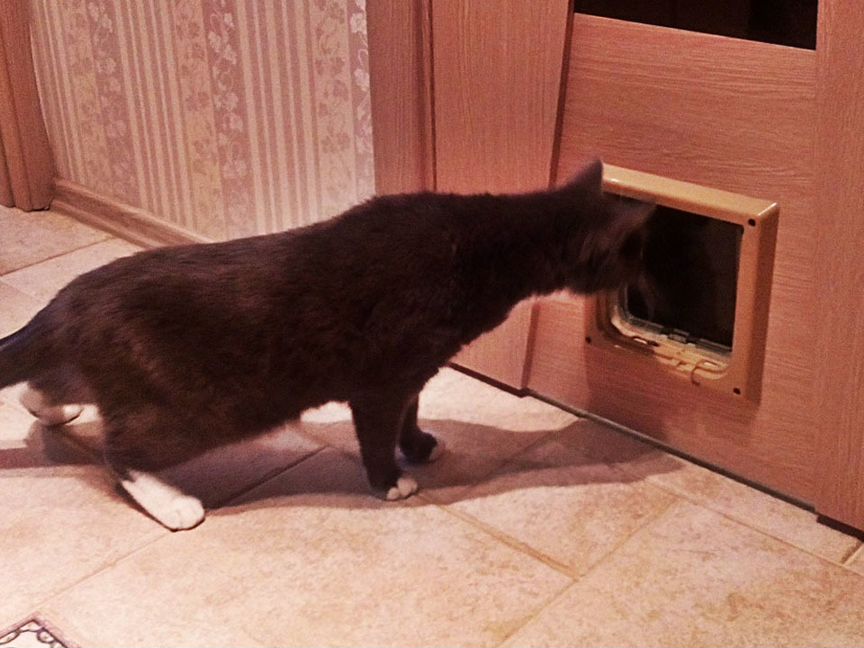 Котодвери. Дверцы (Дверца) для кошек