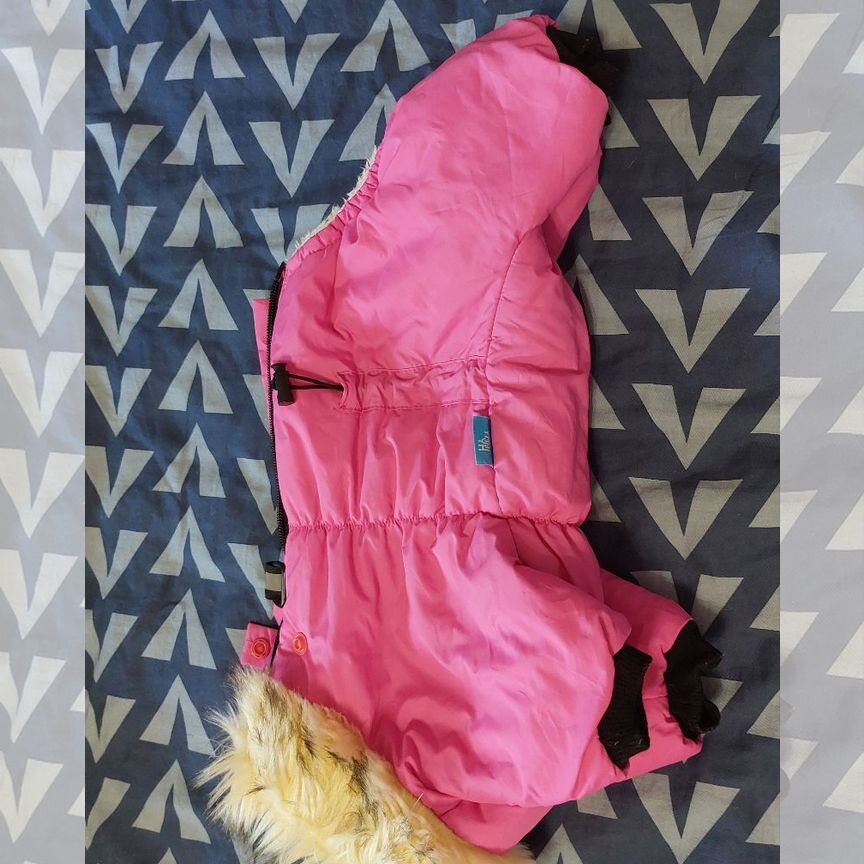 Одежда для собак мелких пород девочка