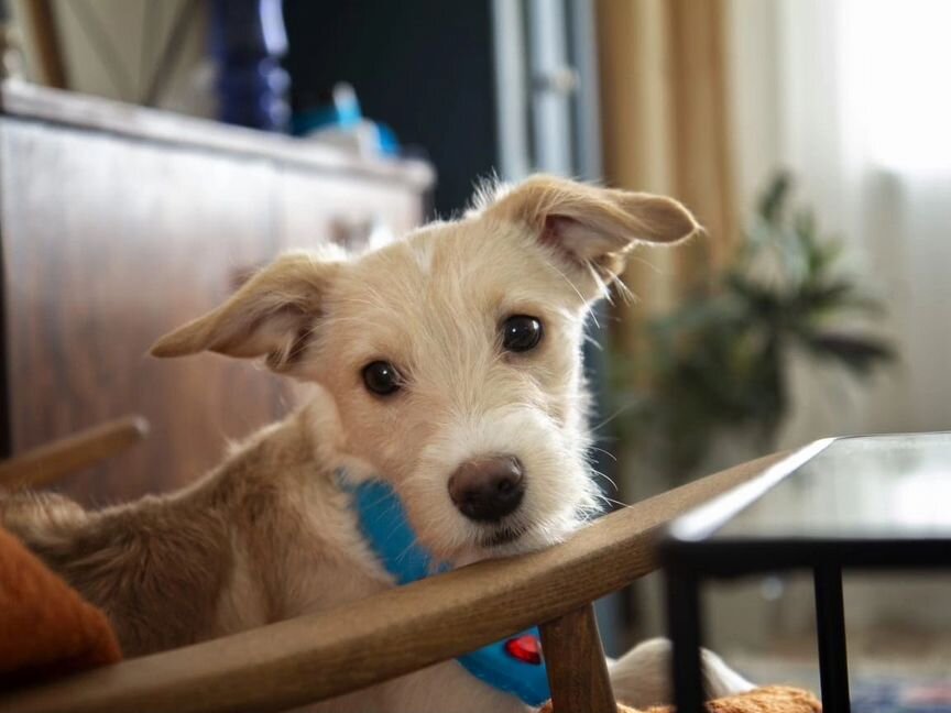 Мальчик 10 кг