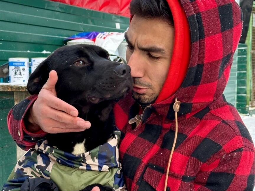 Очаровательный мальчик из приюта ищет хозяина