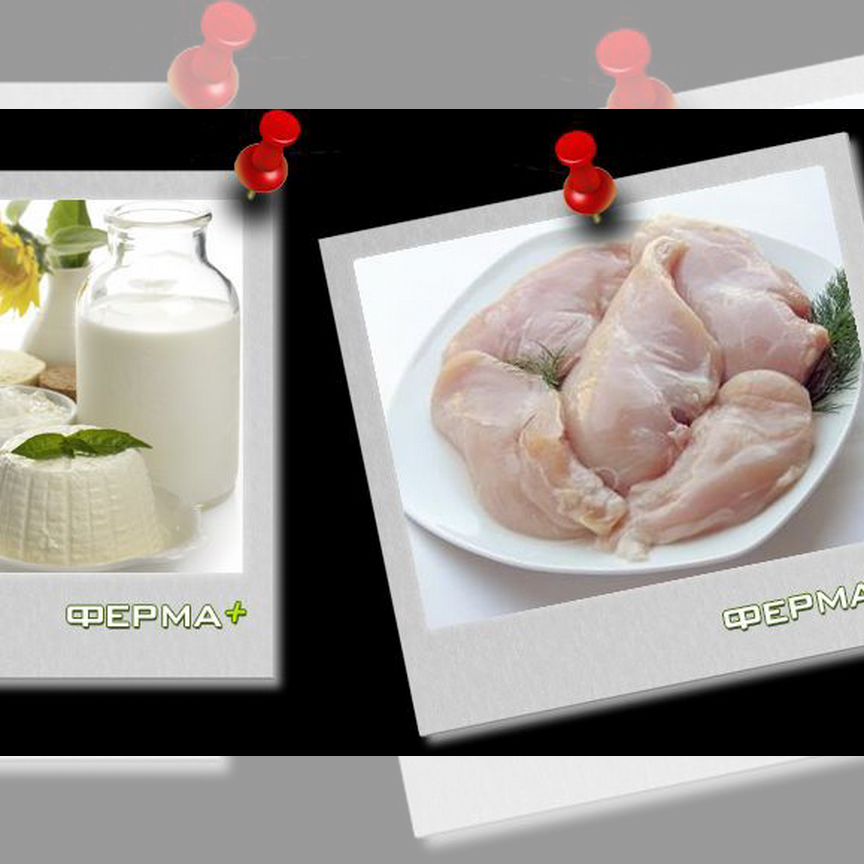 Мясомолочные продукты на корм