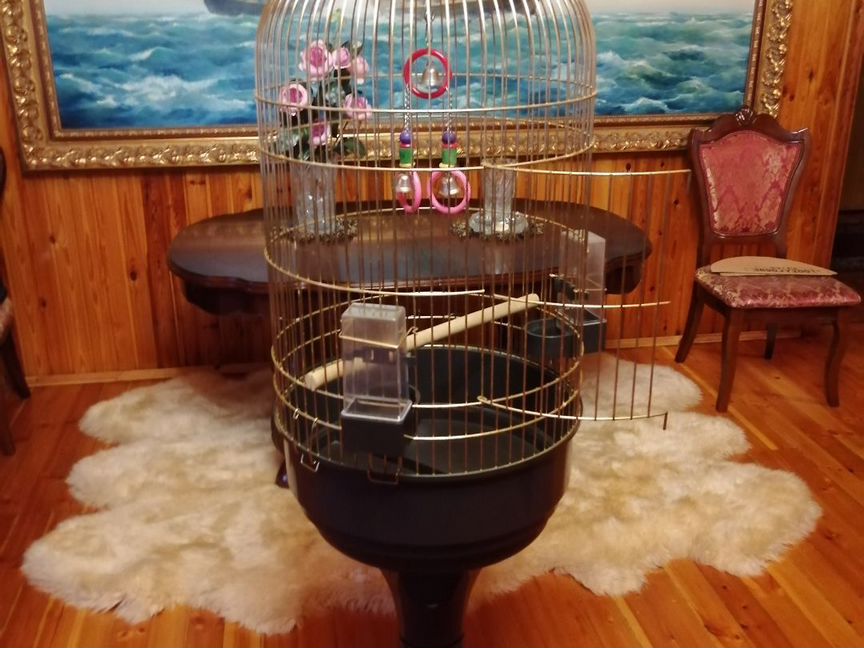 Большая клетка для попугая