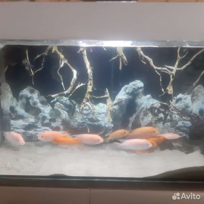 Украшение для аквариума