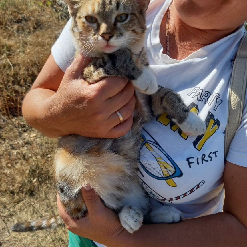 Кошечка
