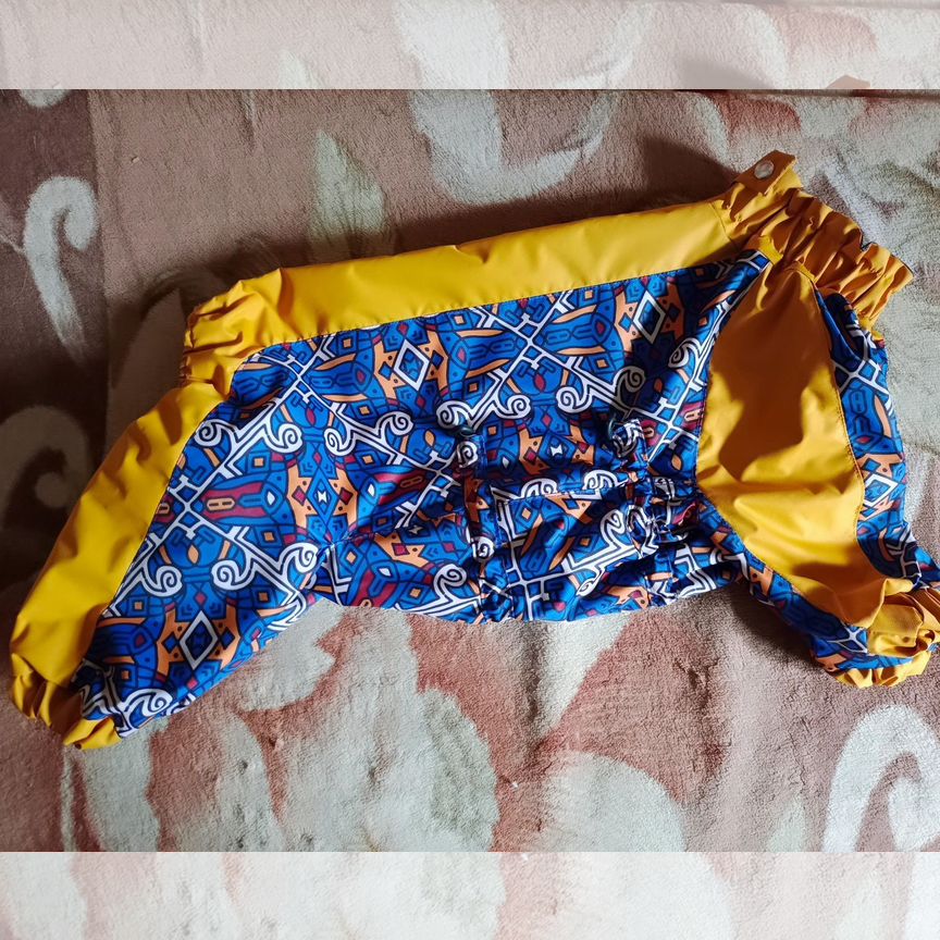 Пошив одежды для собак