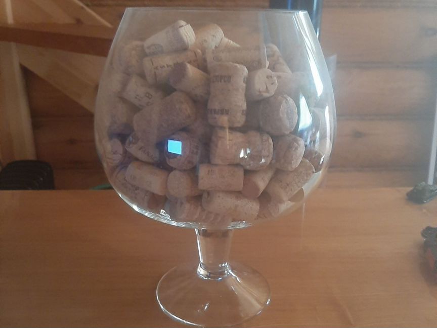 Аквариум рюмка