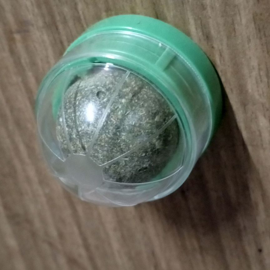 Кошачья мята