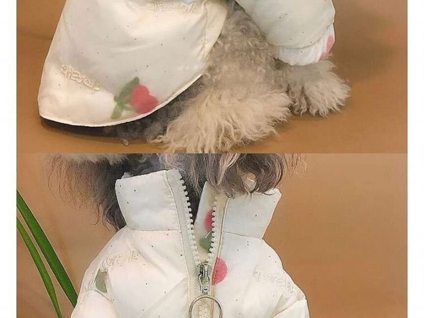 Курточка для собаки мелких пород