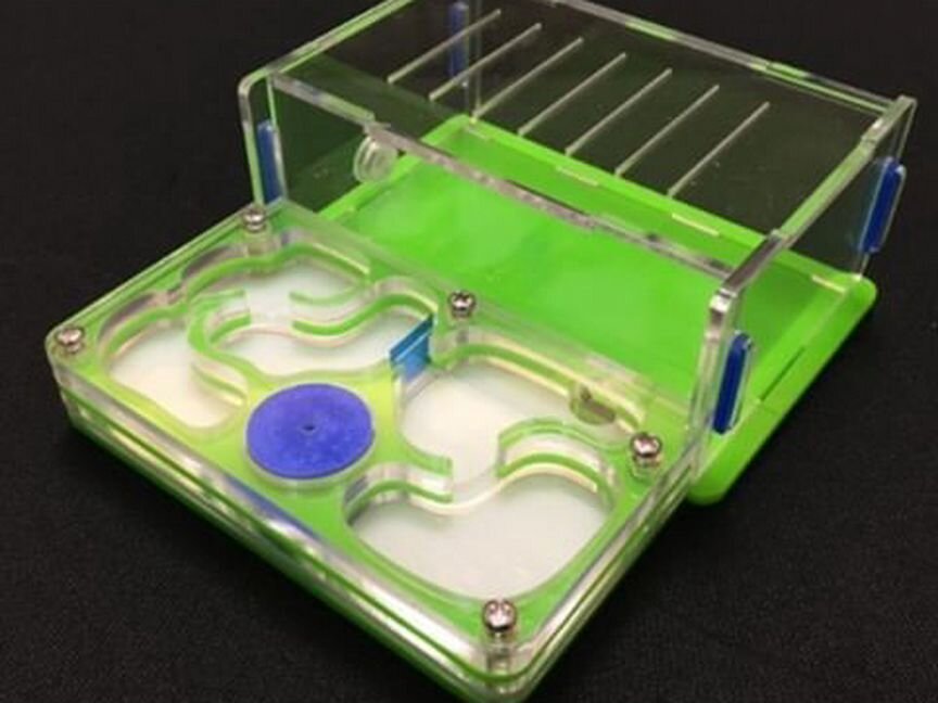 Муравьиная ферма Ant Farm