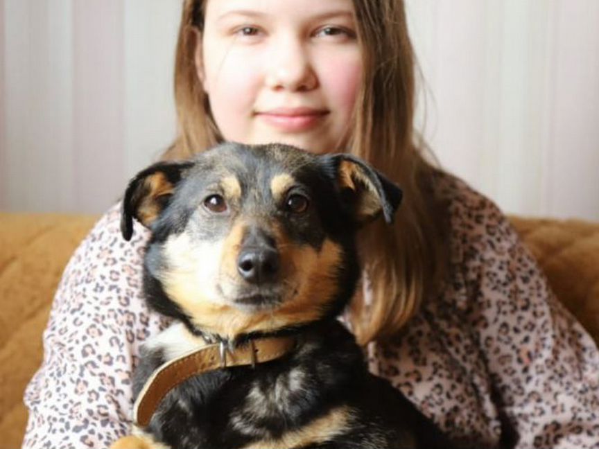 Небольшая собачка Масяня 7 кг