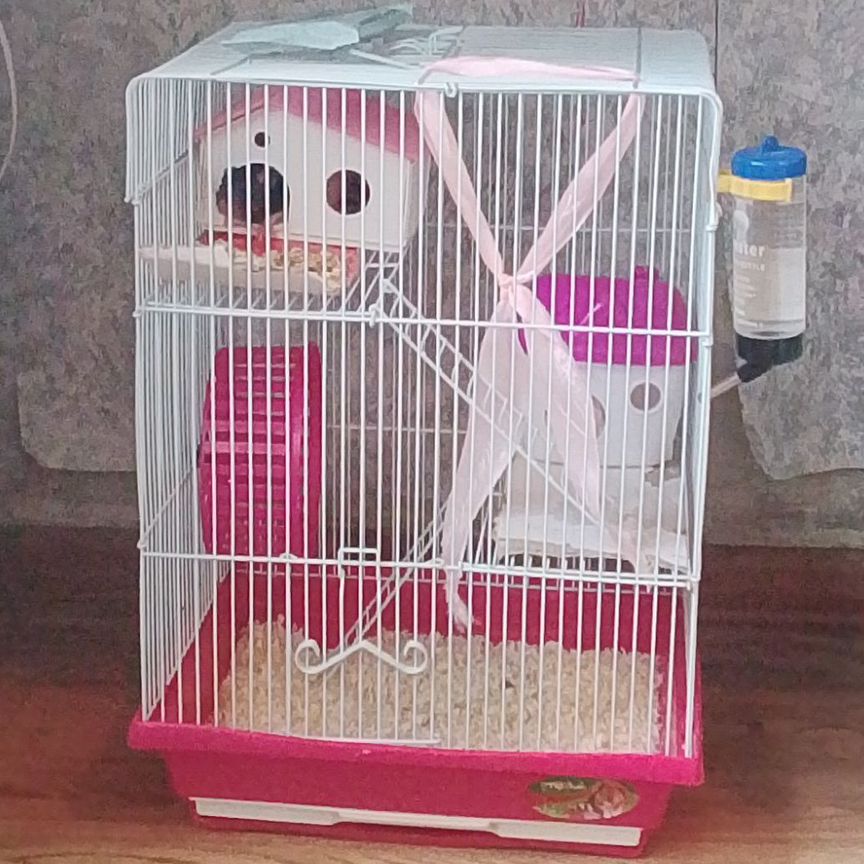 Клетка для грызунов