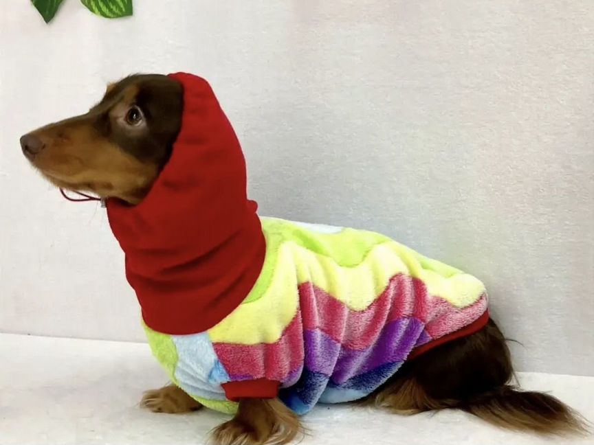 Костюм для таксы