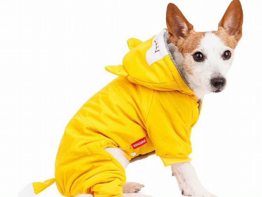 Комбинезон для маленькой собачки