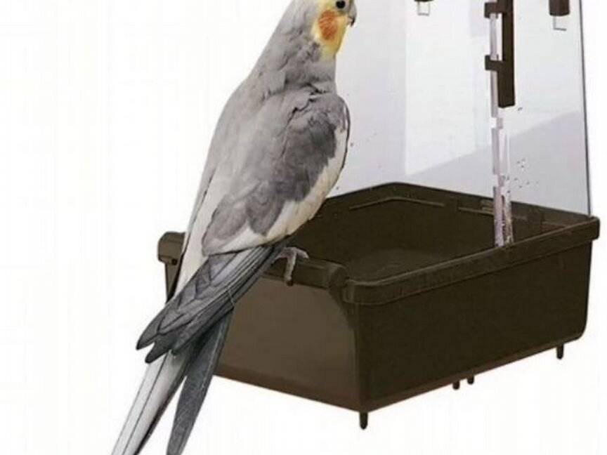 Купалка для средних попугаев