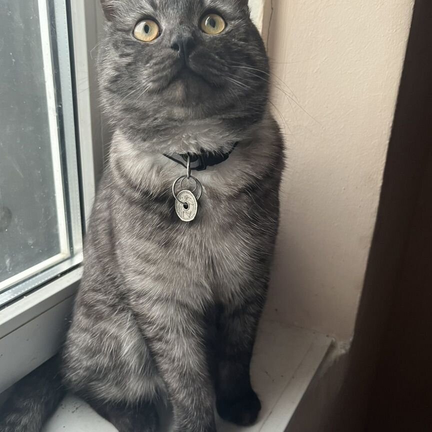 Ищем невесту