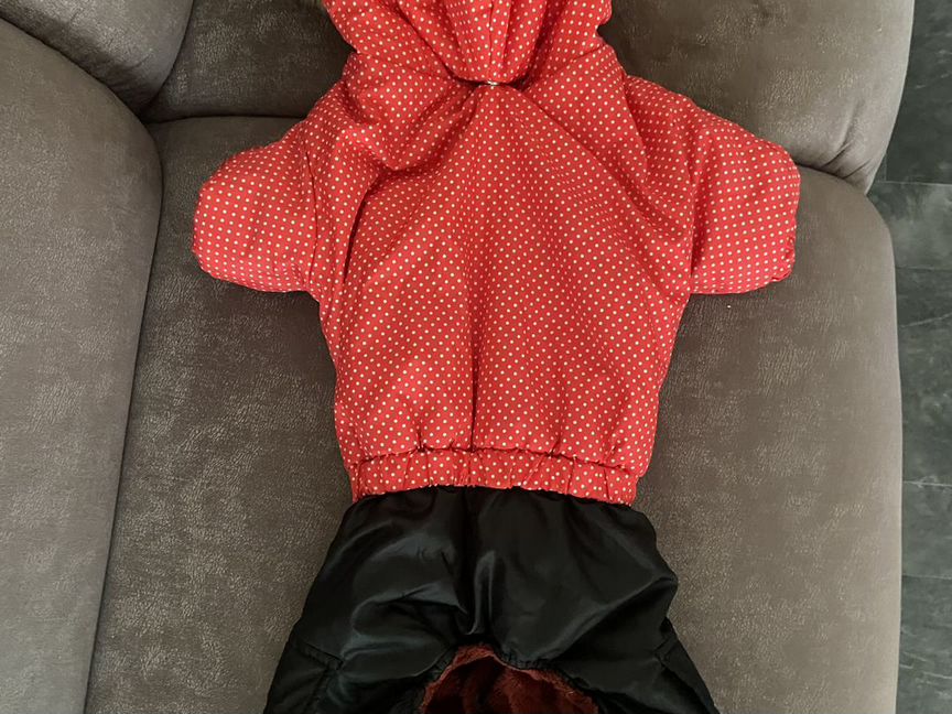 Зимний комбинезон для французского бульдога