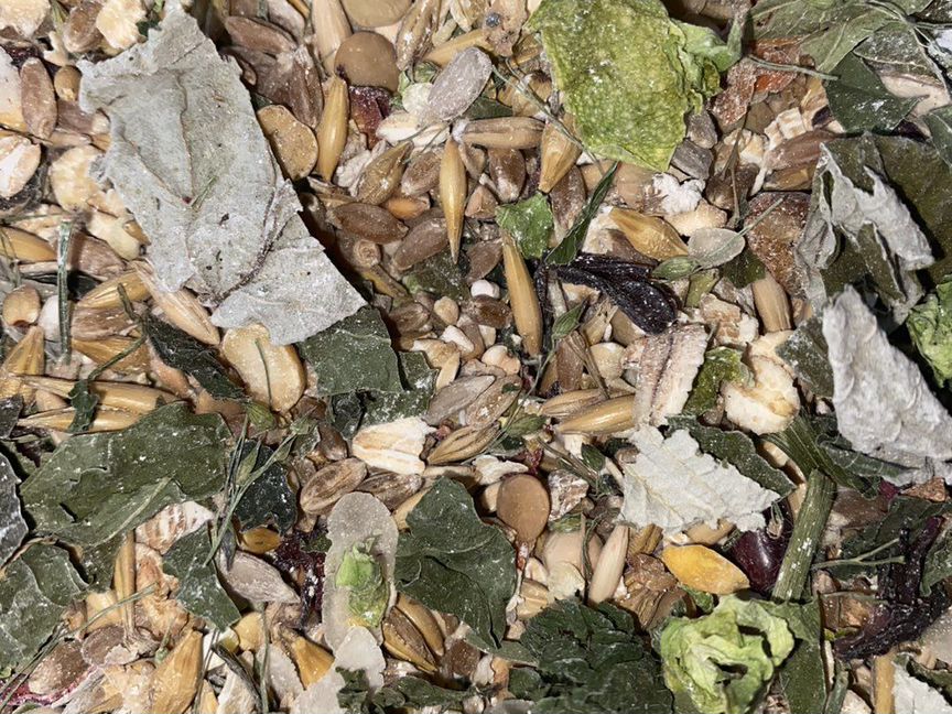 Корм для грызунов хомяков/крыс/мышей