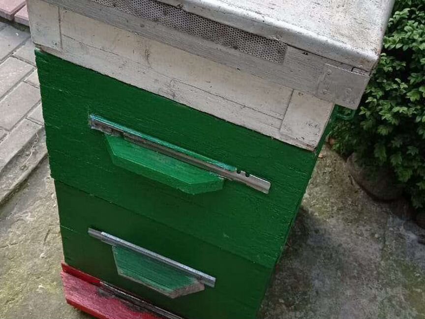 Улики для пчел