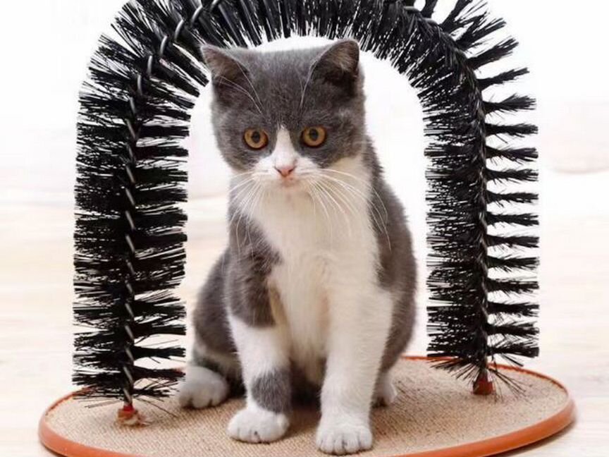 Когтеточка с чесалкой для кошек