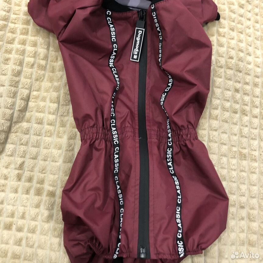 Одежда для собак