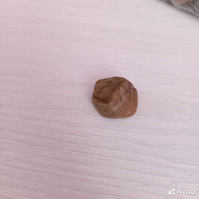 Продам камушки и ракушки в аквариум