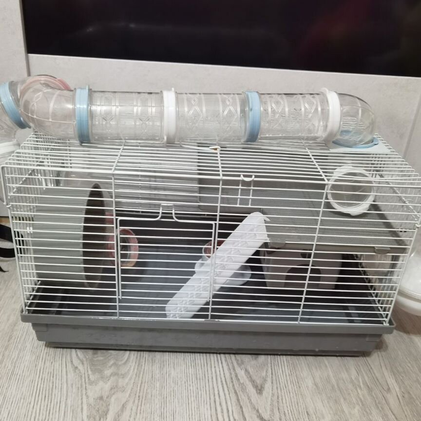 Клетка для грызунов бу