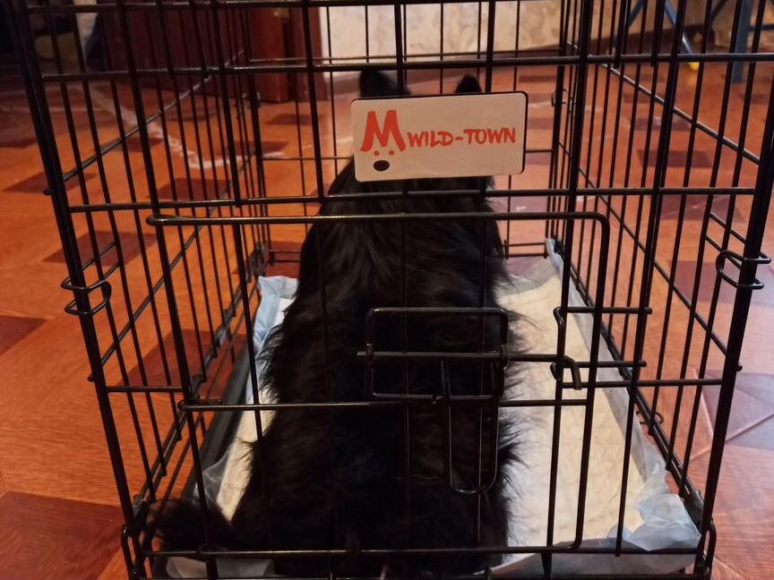 Продажа клетки для животных