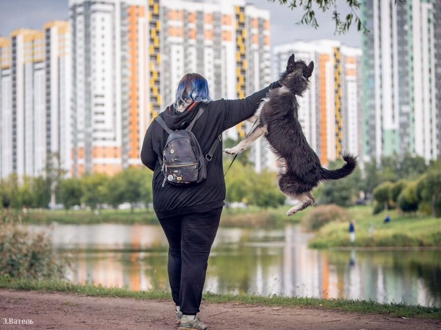 Позитивный Чарли ищет дом