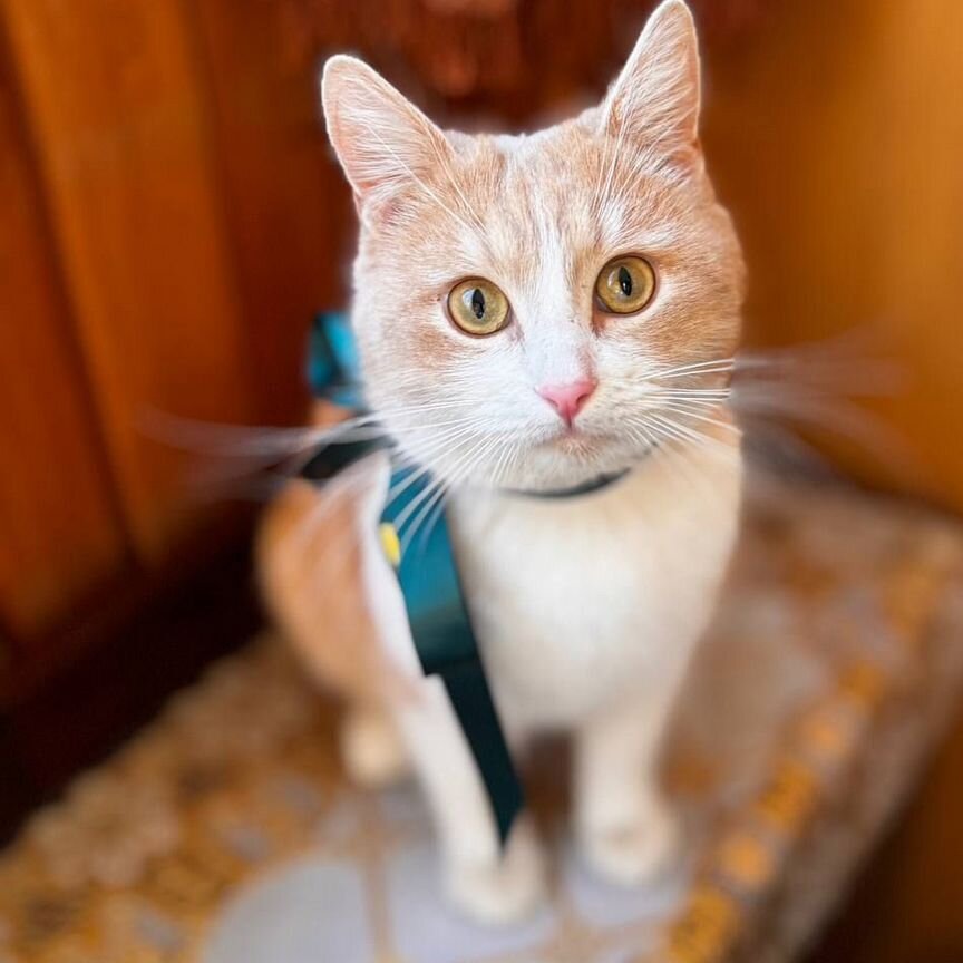 Вот Вы точно меня ищите :)
