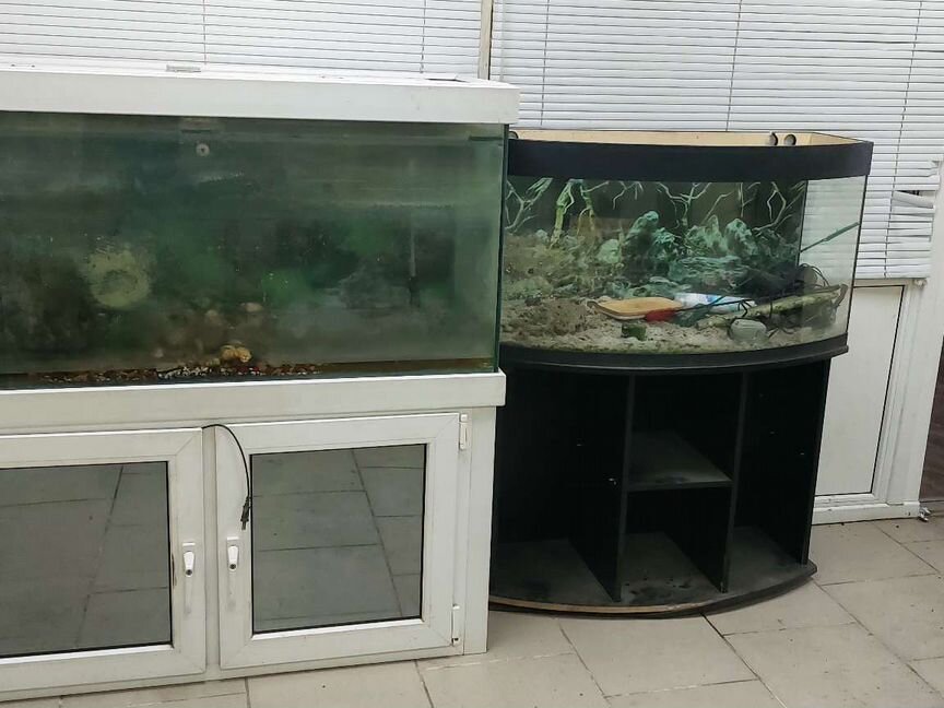 Аквариум