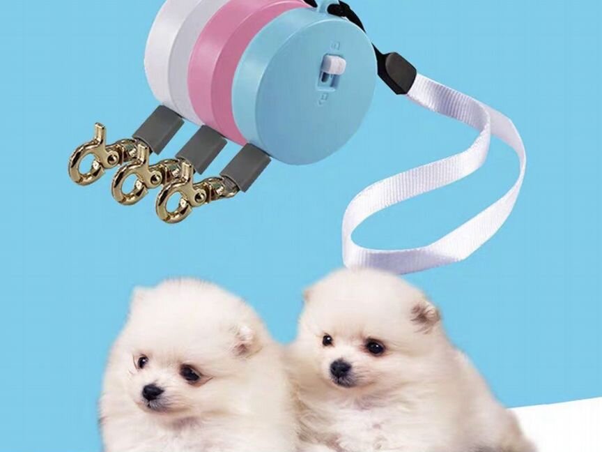 Поводок для животных