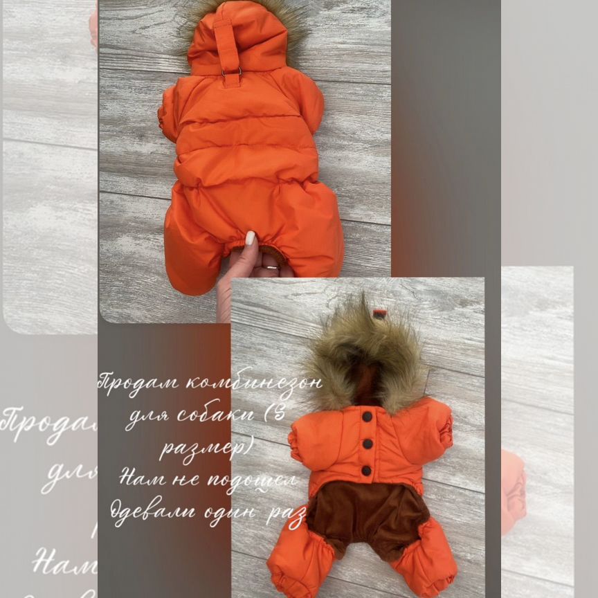 Куртки для собак мелких пород