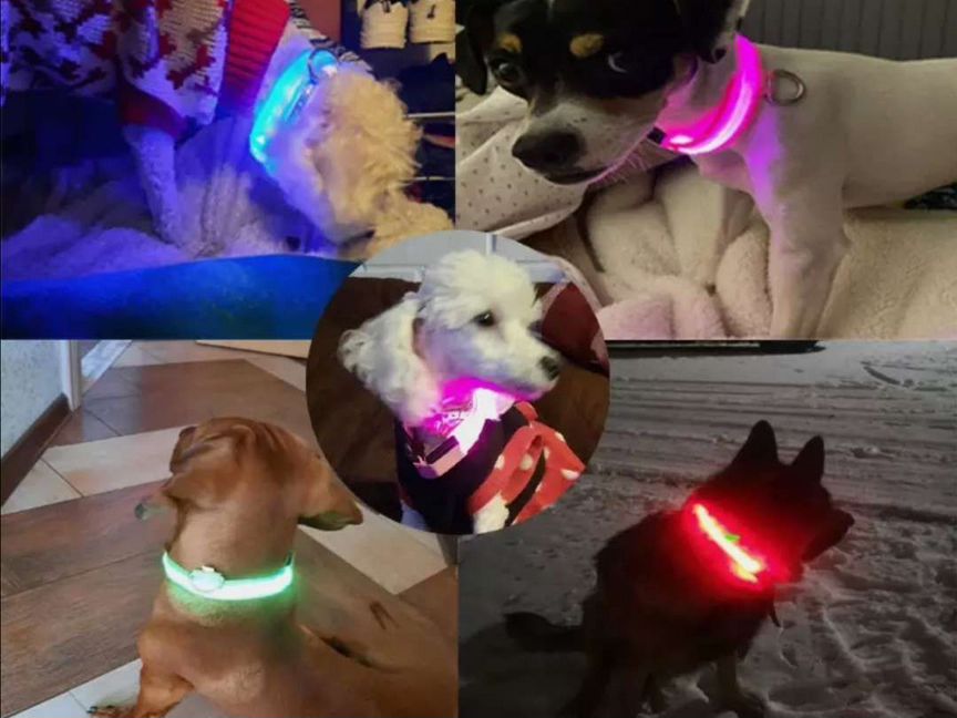 Ошейники с подсветкой (разные цвета)