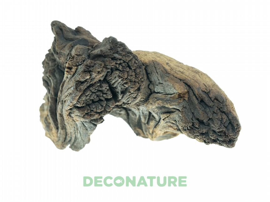 Deco nature wood mopane - Натуральная коряга афри