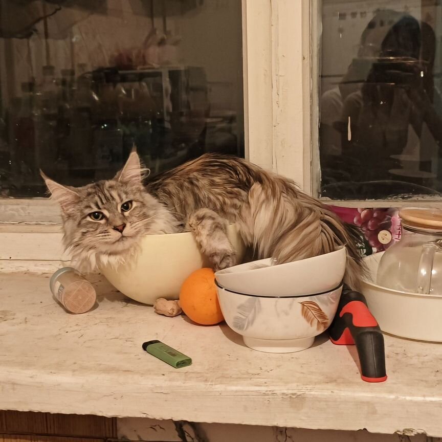 Мэн