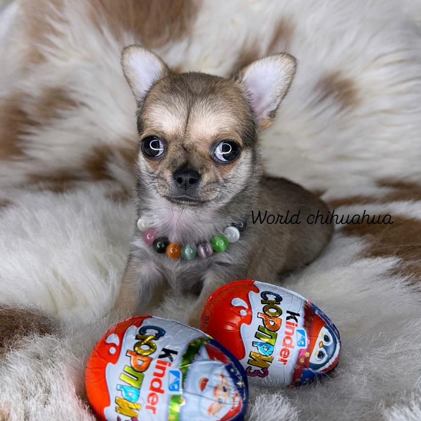 Кукольный Мини Мальчишка