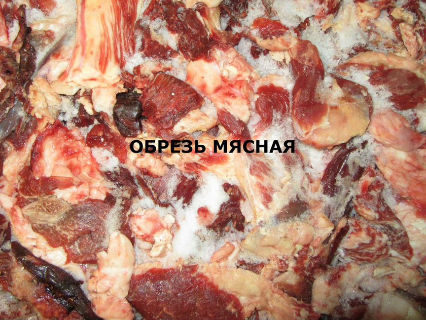 Мясо для собак в Калуге