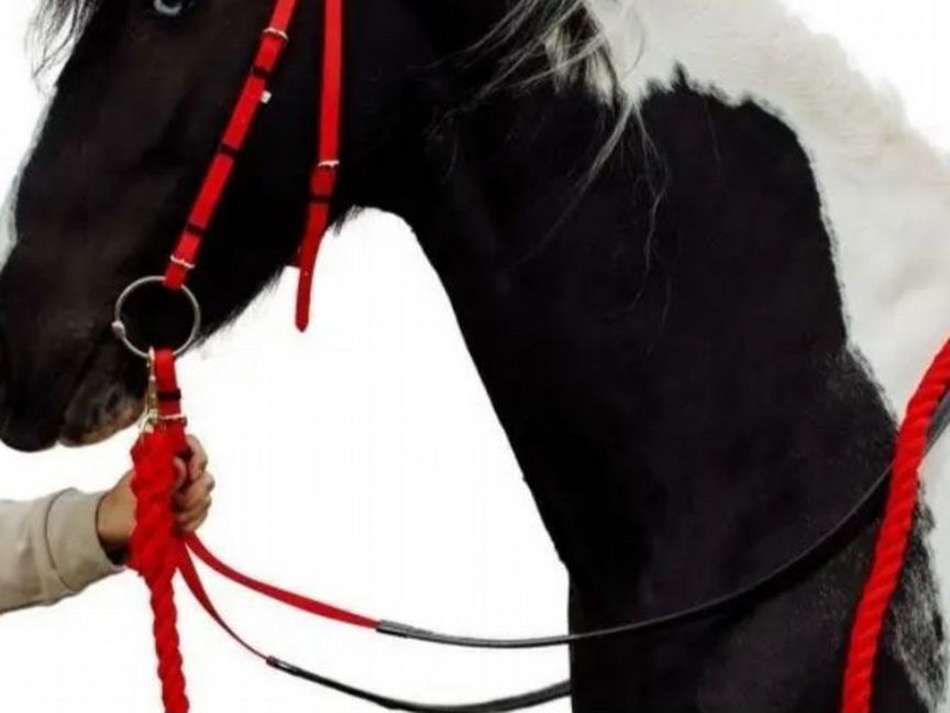 Уздечка для pony, размер S