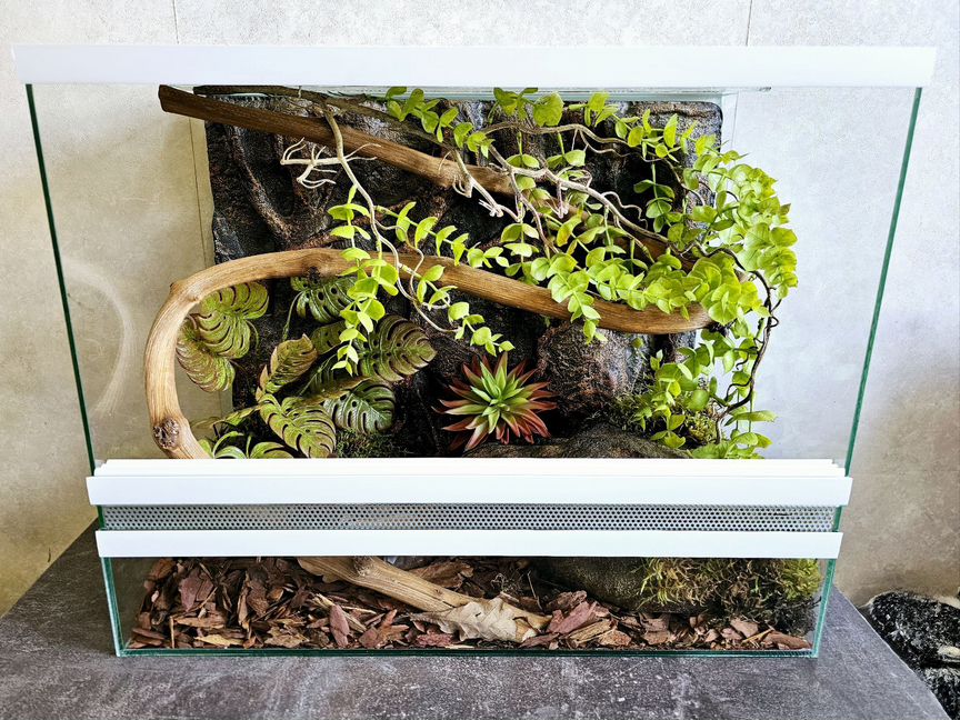 Террариум для змеи