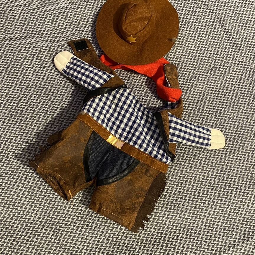 Чесалка для шерсти, ножницы для когтей, костюм