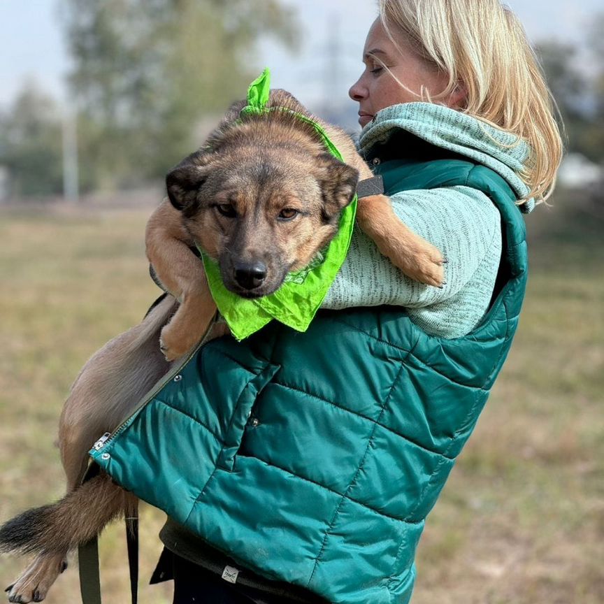 Собака Трогательная Саша