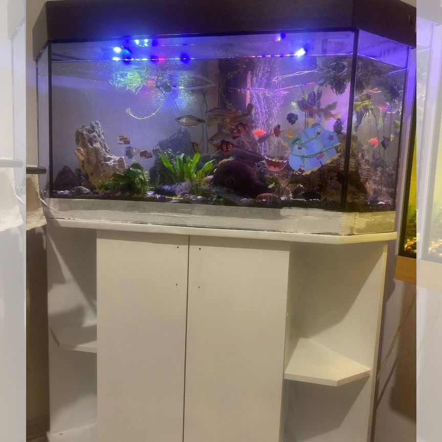 Аквариум с тумбой бу