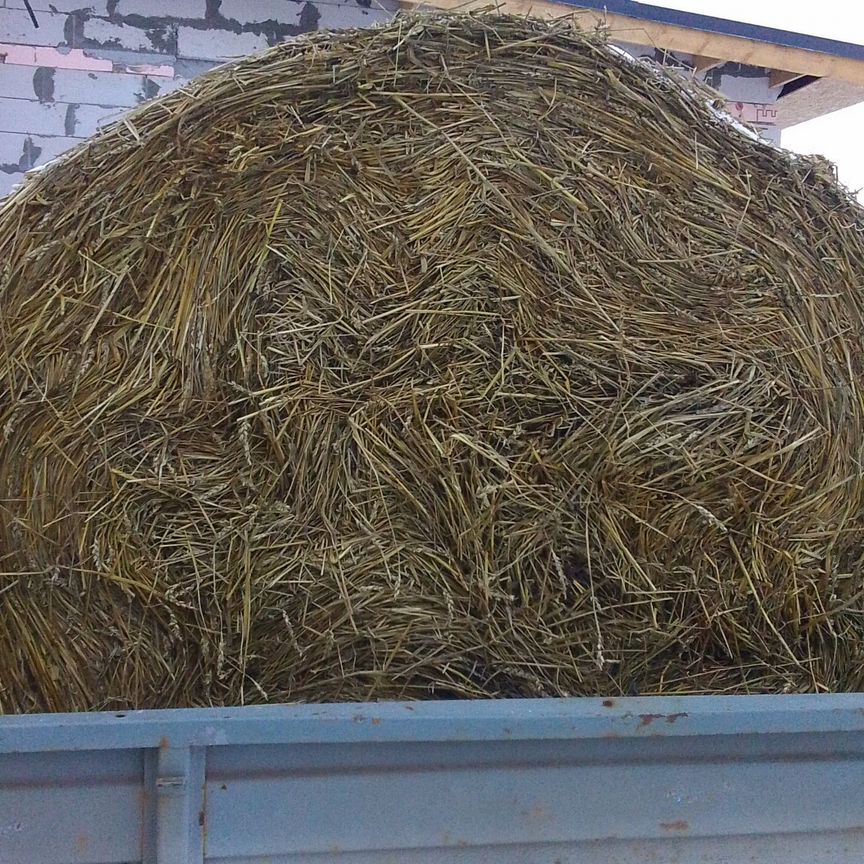 Отличное сено, солома в рулонах