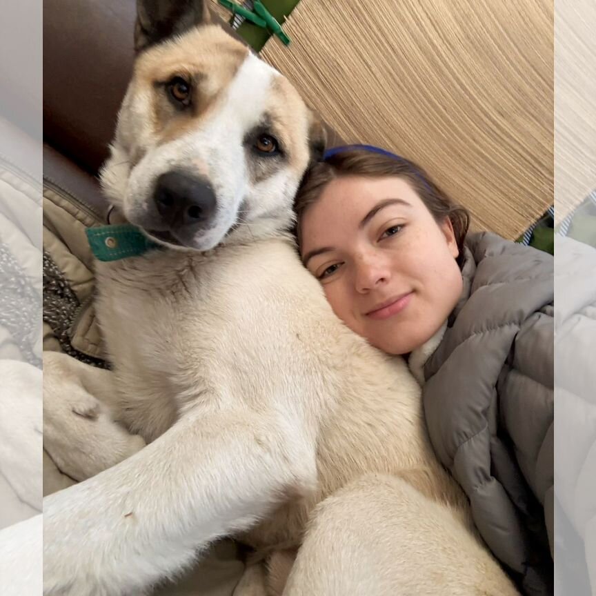 Собачка добрая в добрые руки