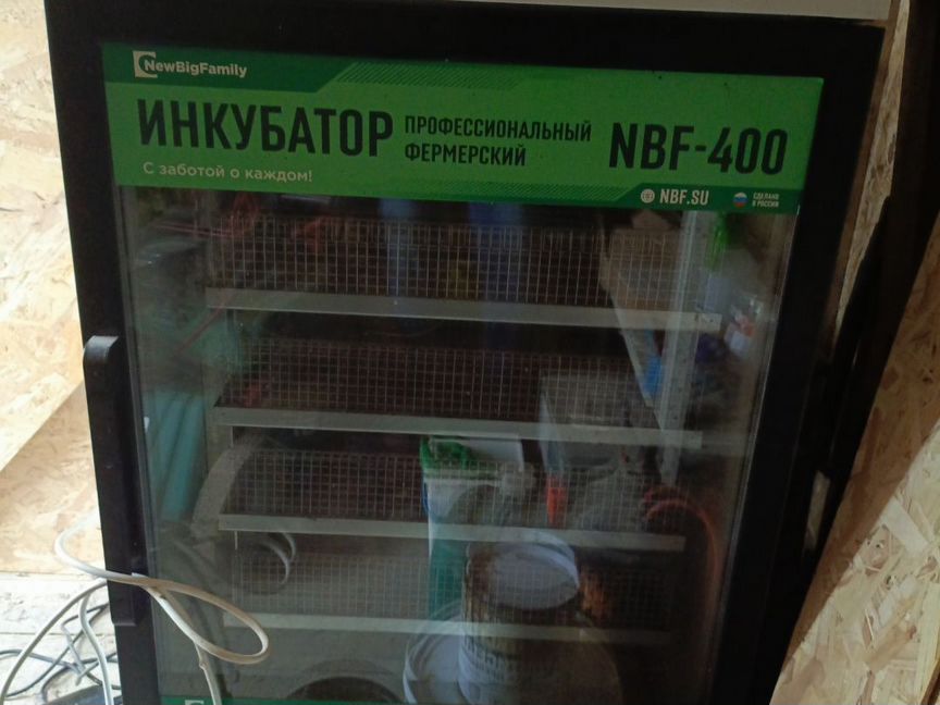 Инкубатор для яиц автоматический