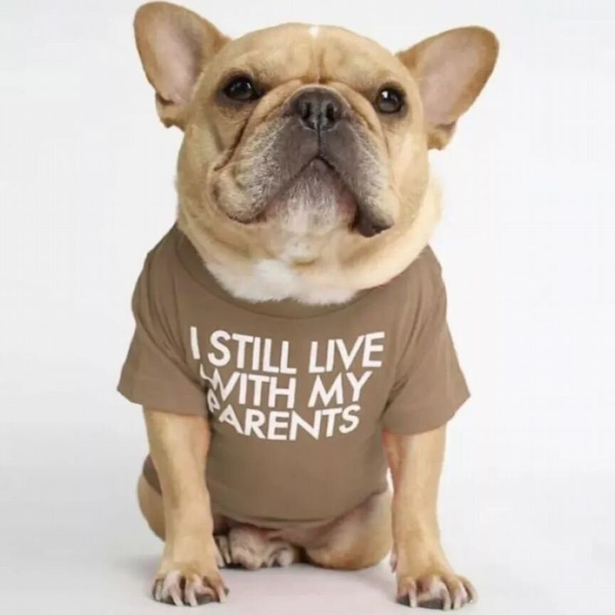 Футболка для кошек и собак