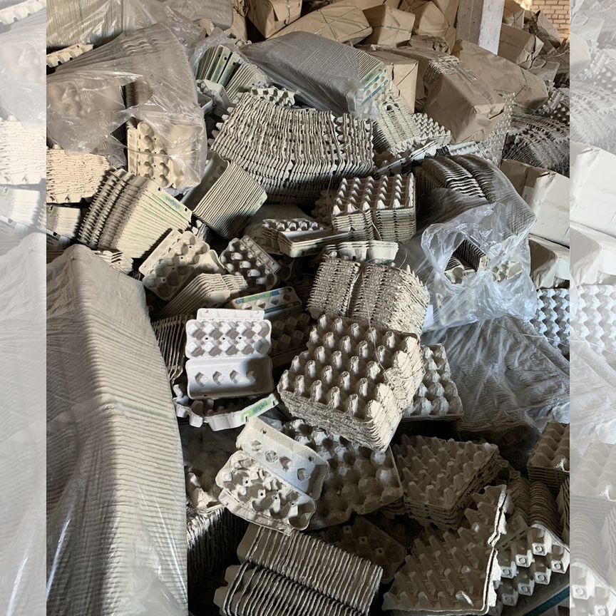 Лотки для яиц