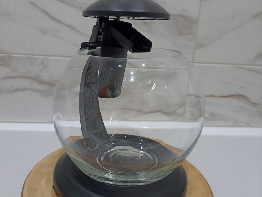 Аквариум Tetra