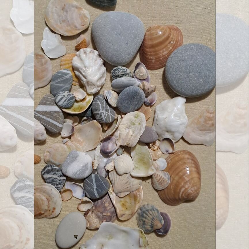 Камни и ракушки для аквариума